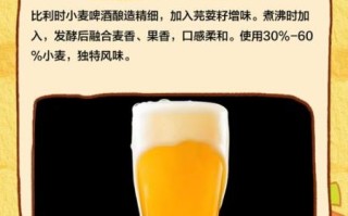芫荽籽啤酒好喝吗_如何在家酿造