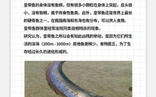 皇带鱼是龙的原型吗_龙的原型探究