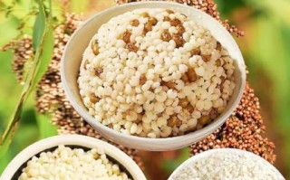 高粱米减肥能吃吗_高粱米热量高不高