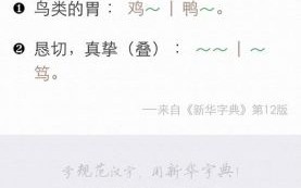 胗怎么读_胗的拼音是什么