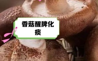 香菇为什么要焯水_焯水后口感更好吗