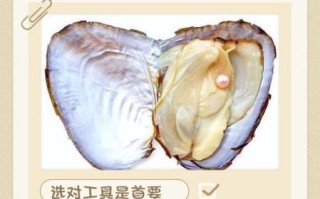 河蚌怎么处理图解_河蚌清洗内脏步骤