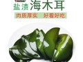 海木耳是什么东西_海木耳和黑木耳区别