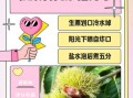 生板栗怎么剥壳_生板栗快速去皮方法