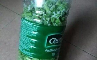 豆角怎么腌制才脆_豆角腌制多久可以吃