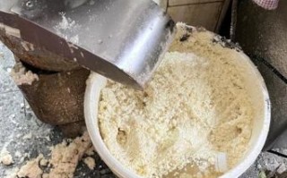 豆渣发酵怎么做_豆渣发酵多久能用