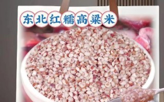 高粱米和什么米搭配好_高粱米最佳搭配米种推荐