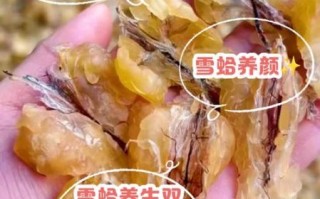 雪蛤的价格一般是多少_雪蛤多少钱一克