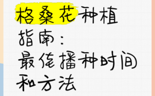 格桑花什么时候种_格桑花怎么种才爆花