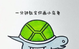 乌龟简笔画怎么画_乌龟简笔画步骤图