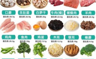 蛋白质高的食物有哪些_怎么选