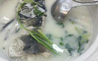 正宗鱼头汤的做法大全_鱼头汤怎么熬才白