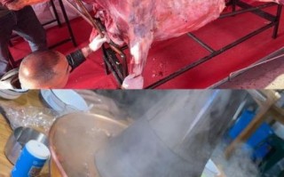 烤全牛怎么做_烤全牛需要多久