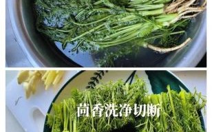 茴香炒肉怎么炒好吃_茴香炒肉用哪个部位肉
