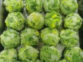 冻菜怎么做最好吃_冻菜可以冷冻多久