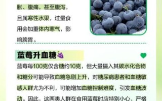 蓝莓吃多了会怎么样_一天吃多少合适