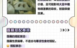 莲藕不能和什么一起吃_莲藕与哪些食物相克