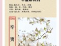 辛夷花泡水喝的正确步骤_辛夷花泡水有什么禁忌