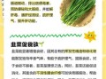 吃韭菜的好处和坏处_韭菜吃多了有什么副作用
