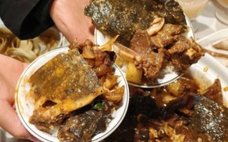 王八汤怎么炖最补_王八汤功效与禁忌