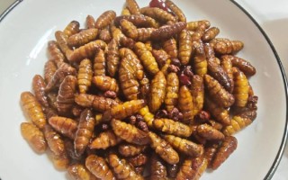 蚕蛹怎么炸又香又脆_炸蚕蛹酥脆秘诀 蚕蛹怎么炸又香又脆_炸蚕蛹酥脆秘诀