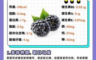 桑葚干的功效与作用及禁忌_桑葚干适合什么人吃