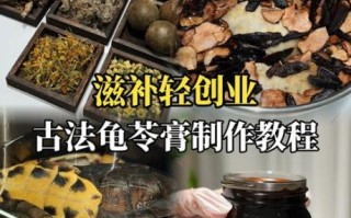 龟苓膏是乌龟做的吗_龟苓膏成分揭秘