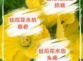 丝瓜花怎么做好吃_丝瓜花做法大全