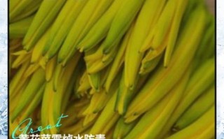 黄花菜什么人不能吃_六种人不宜多吃黄花菜
