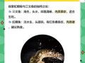 虹鳟鱼吃什么饵料_虹鳟鱼饵料配方大全