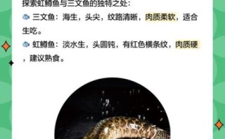 虹鳟鱼吃什么饵料_虹鳟鱼饵料配方大全