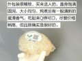 燕窝价格多少钱一克_正宗燕窝一克价格