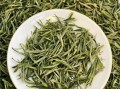 黄山毛峰新茶多少钱一斤_2024年最新行情
