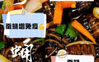 蚕蛹的功效与作用及禁忌_蚕蛹怎么吃才安全
