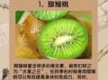秋天吃什么水果好_秋季饮食如何养生
