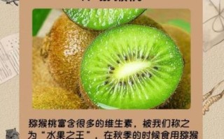 秋天吃什么水果好_秋季饮食如何养生