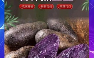 黑土豆怎么吃_黑土豆的营养价值与做法