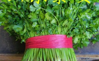 香菜网商城怎么样_香菜网商城靠谱吗