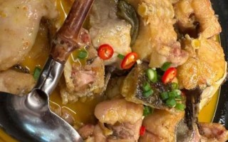 红烧鮰鱼怎么做好吃_家常红烧鮰鱼的做法窍门