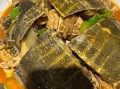 甲鱼怎么烧好吃又营养_甲鱼汤做法视频