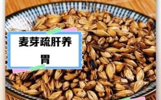 炒麦芽的功效与作用_炒麦芽怎么喝才回奶