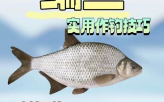 怎么钓鳊鱼用什么饵最好_鳊鱼饵料配方