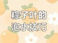 粽叶怎么处理才好用_粽叶泡多久最合适