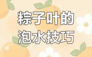粽叶怎么处理才好用_粽叶泡多久最合适