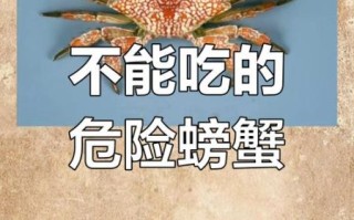 螃蟹不能和什么一起吃_中毒风险高吗