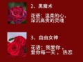 红玫瑰花语1到100代表什么_送几朵最浪漫