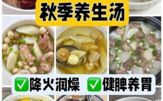 秋季喝什么汤养生最好_秋季养生汤推荐