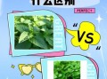 藿香和鱼香菜的区别_怎么区分藿香与鱼香菜