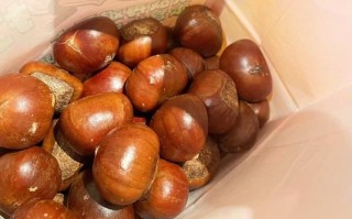 炒栗子上火吗_吃炒栗子会不会上火