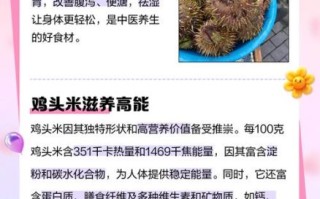 鸡头米干货怎么吃_鸡头米泡发多久